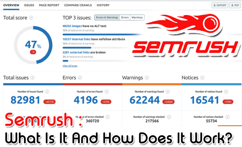 Sem 47 Logo Wild Roots Wellness Center Brand Thrive Creative Group,